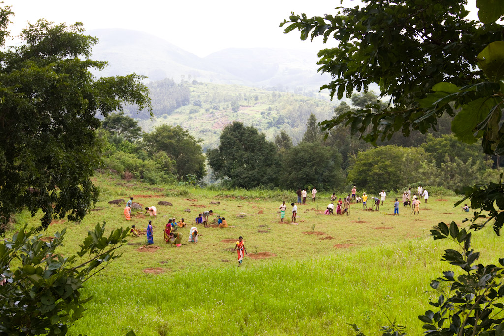 Practical solutions to transform the agricultural model – Livelihoods Funds