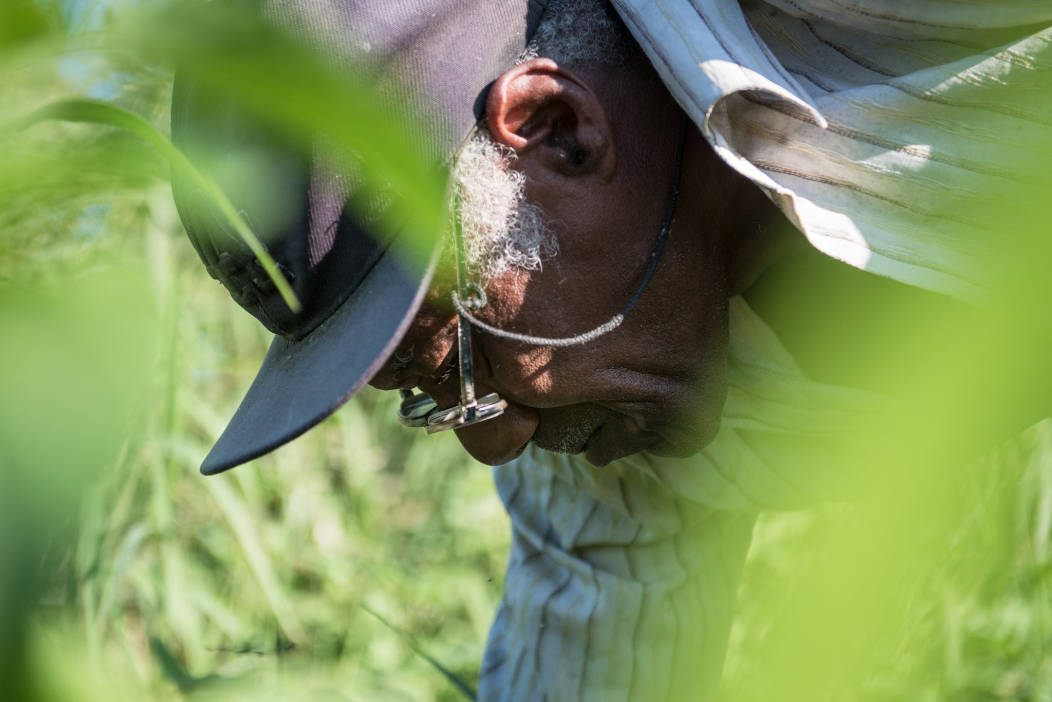 Home – New - Livelihoods Funds