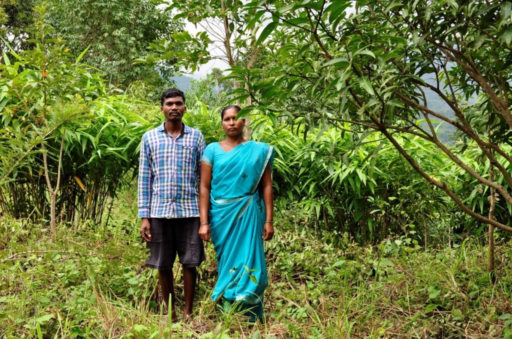 Impact Reports - Livelihoods Funds