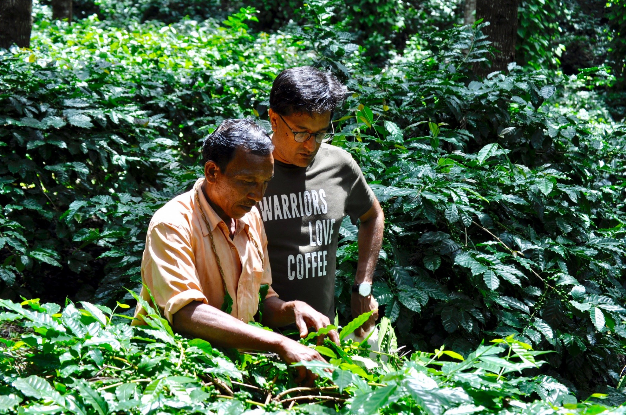 naandi foundation – Livelihoods Funds