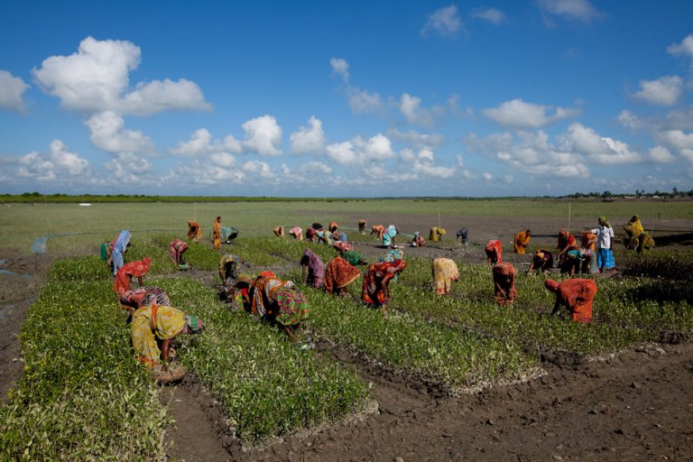 What we do – Livelihoods Funds