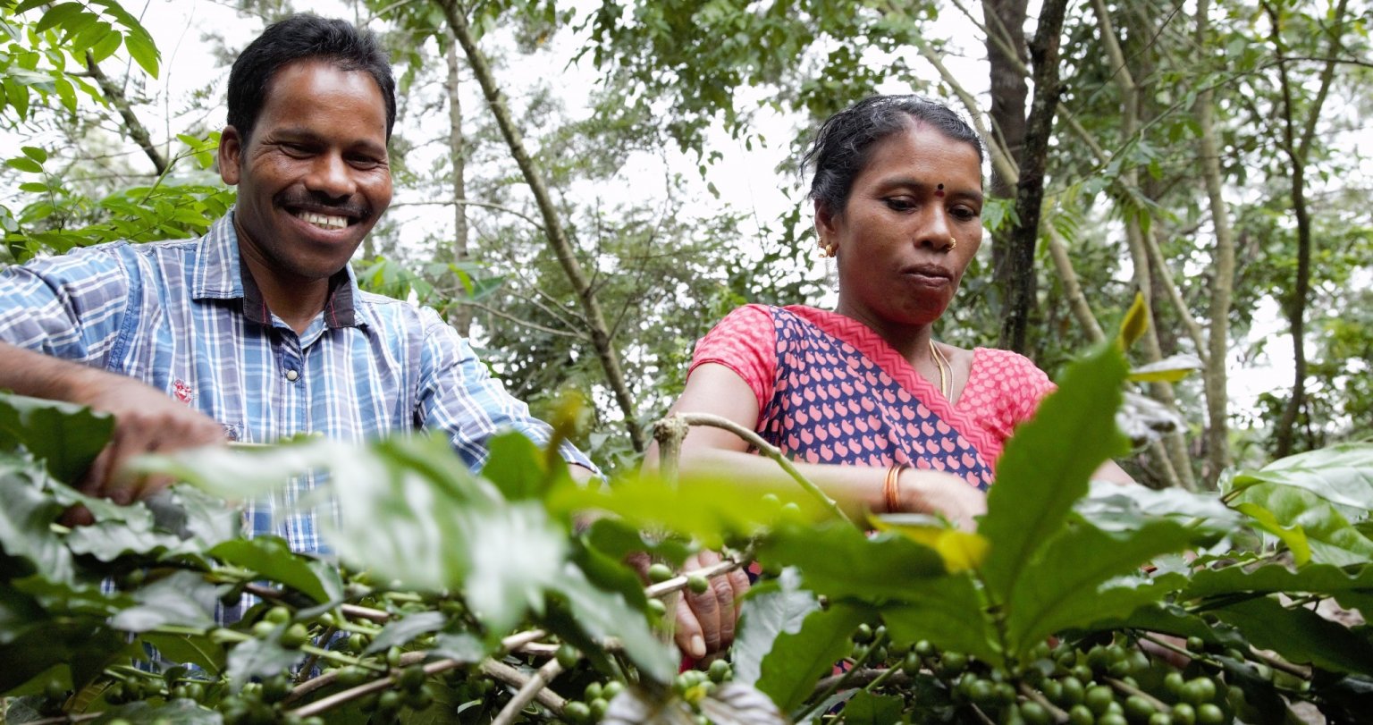 naandi foundation - Livelihoods Funds