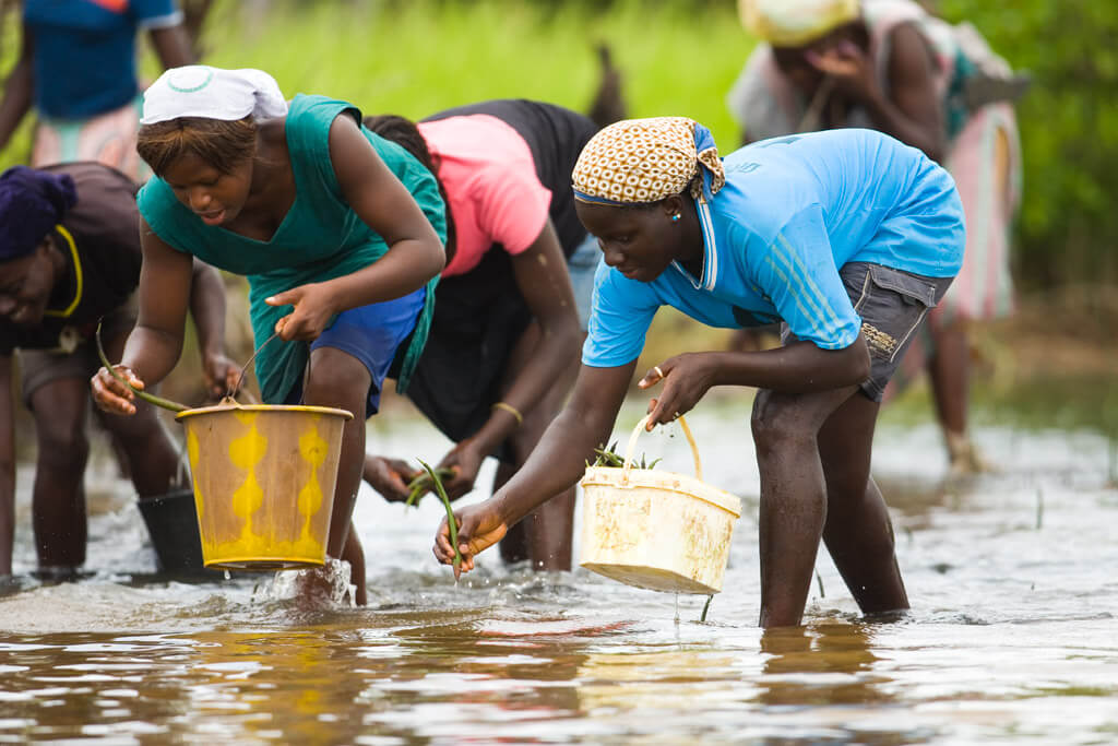 Livelihoods Funds – Building resilient communities & ecosystems ...