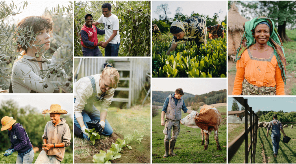 Home – New - Livelihoods Funds