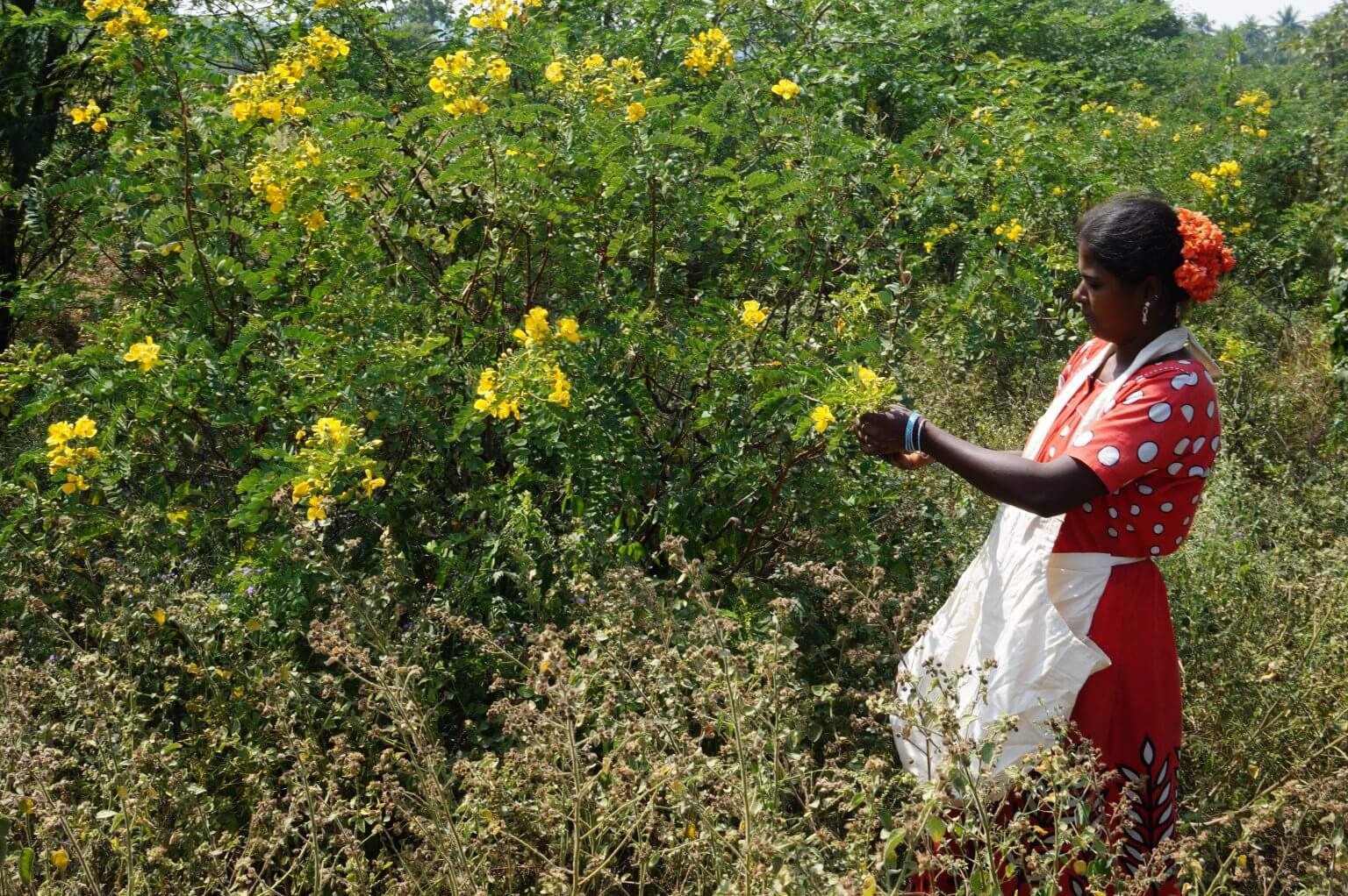 Projets - Livelihoods Funds